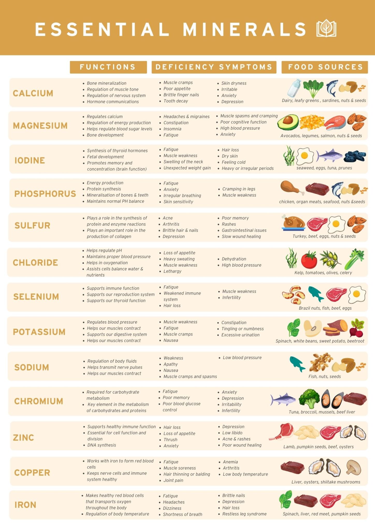 The Nutrition Academy Papaya Vitamin & Mineral Downloadable Posters ...